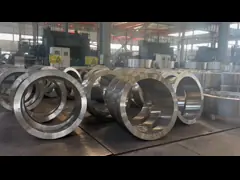 중국 열리는 위조 제품 금속 위조 부속 실 회전 기계 금속 각인이 죽습니다 판매용