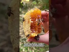After watching this video, you will be able to distinguish between genuine and fake honey