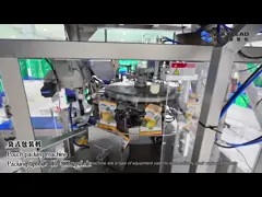 WG300 Αυτόματη Μηχανή Συσκευασίας Σακούλας με Πιστοποίηση CE