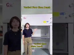 China 220V 280Watt Laminar Flow Clean Bench , Desktop Laminar Flow Hood For Laboratory for sale