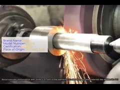 Buoni elementi di legno di plastica della vite dell'espulsore dello STS 65 di stabilità dimensionale