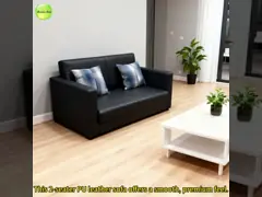 060 2 seater foldable sofa bed