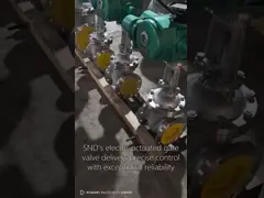 Electric actuated gate valve