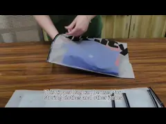 Custom Logo Ziplock Design LDPE PE Plastic Bags Matte Frosted Clear for Clothing Shoes Socks Gravure
