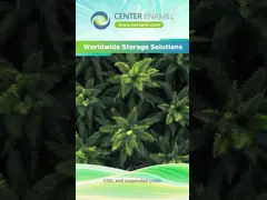 Palm Oil Wastewater Treatment
