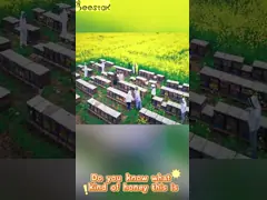 China Pure Natural White Cream Honey Snow Cream Honey for sale