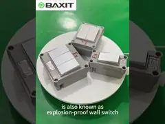 China ATEX 220V 10A Explosion Proof Rotary Switch push button switch wall switches for sale