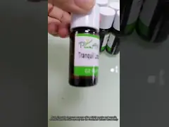 China Musk Chocolate Fragrance Essence Oil with Free Sample for Luxurious Gourmand Oriental Musk Scent for sale