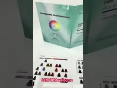 Purestyle High Quality Hair Color Chart 47 Colors Professional Best Price Low MOQ for Salons