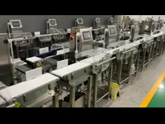 China LCD Display Conveyor Weight Checker for Heavy Duty Applications Customized Weighing Range Light And Sound Alarm for sale