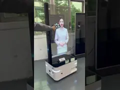 AI Digital 55 Inch See Through Oled Screen Human Body Screen Suitable For Commercial Display