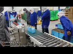 China Plastic / Laminated Paper Side Sealing Packing Machine High Accuracy 30-50 Case/Min for sale