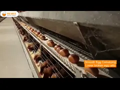 China “H” Type Layer Chicken Cage Equipment for sale
