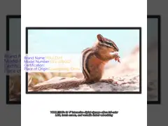 Indoor Advertising Equipment 21.5 Inch Multifunctional Display Screen Wall Mounted Touch LCD Interactive Digital Signage Customized