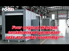 WEICHAI CONTAINER TYPE