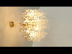 China Metal Modern Pendant Chandelier Lights For Ceiling / Wall Mounted Installation for sale