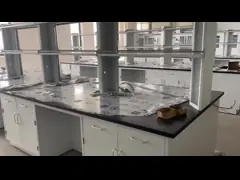 中国 完全に組み合わさったラボワークンチ 香港 / ノンウェルデッドハンドル付きのラボベンチ 香港 販売のため