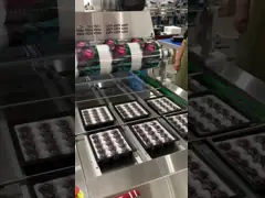 Factory Supply Fully Automatic Airflow Displacement Chain Plastic Tray Sealer DQ730AT-E High Quality Tray Sealer