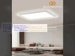 High End Luxury LED Ceiling Lights 340W  For Living Room Master Bedroom