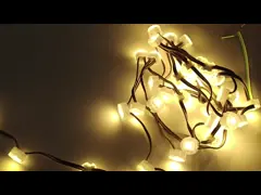 Customizable RGB 20mm LED Point Light for Outdoor Decoration with IP67 Waterproof Rating