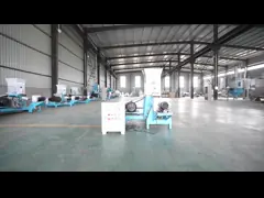 Fish Feed Extrusion Process with Extruder Machine