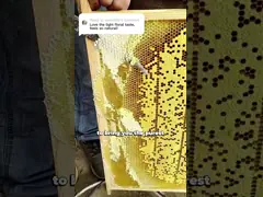 View Wholesale 100% Natural bee Honey Pure Raw honey High Quality Demo