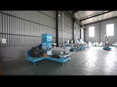 Exploring Fish Feed Extruder Machine