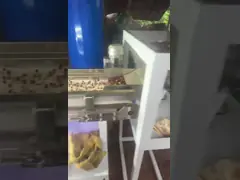 China Optical Dried Plums Color Sorter Machine for Kabkab Dates Nuts Raspberry Coffee Cherries for sale