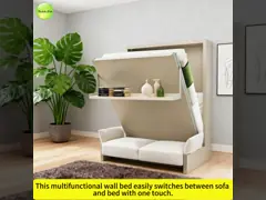 China Hidden Wall Sectional Sleeper Sofa Murphy Bed Multifunctional For Small Apartment for sale