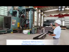 Client visiting factory and check production line