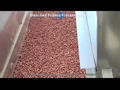 스테인리스 스틸 304 식품 등급 로스트 된 땅콩 블랜칭 기계 분할율 15%