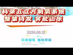 Automaticamente macchina di produzione di ossigeno PSA O2 impianto con sterilizzatore