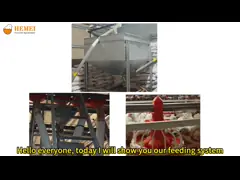 Automatic cage feeding system