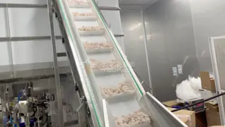 China 14 Head 1.6L/2.5L Multihead Weigher machine For Cherry Tomatoes Frozen Dumplings Peanuts for sale