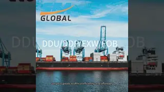 From China To Port Said, Africa Sea Freight Full Container Load Shipping Services Providing Professional Freight Solutions