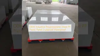 PP Sheet Equipment Shields Chemical Resistant & Durable