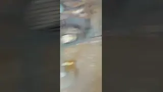 China SS304 Round Tube Post Base Plate Brackets | Stainless Steel Balustrade Mounting Fittings for Handrail & Railing Installations for sale