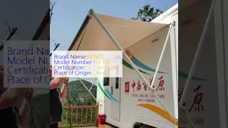 China Manual Roll Out Carefree Rv Awning Waterproof Retractable Camper Awning for sale