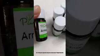 China  Free Samples Home Spray Holiday Inn Fragrance Essence Oil For Diffuser &Scented Candle& Reed Sticks Raw Material for sale