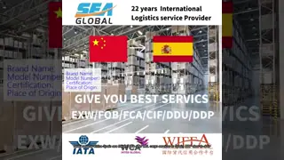 Spain LCL Cargo China Sea Freight to Spain DDP Door to Door