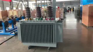 China Silicon Steel Core Oil Immersed Distribution Transformer with Pressure Relief Device and Vector Group Dyn11 Yzn11 Yyn0 Providing Voltage Regulation for sale