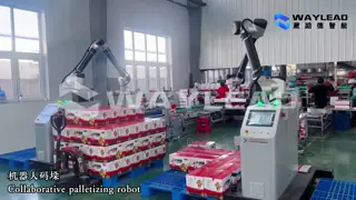 China WP50 Intelligent Collaborative Palletizing Robot Maximum Compatible Pallet Size 1200mm 1100mm for sale