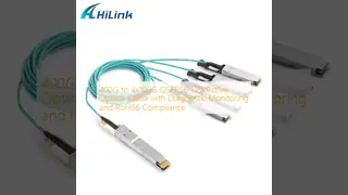 400G to 4x100G QSFP56-DD Active Optical Cable with Diagnostic Monitoring and RoHS6 Compliance