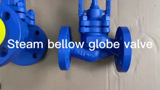 China Bellows Seat Steam Globe Valve 6 Inch WCB Carbon Steel Flange 16bar 25bar Din Standard for sale