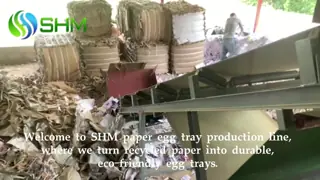 China Moulded Apple Fruit Tray Making Machine Full Automatic Production Line for sale