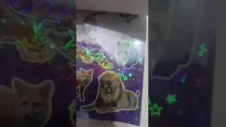 China PET laser film (seamless), BOPP laser film (seamless), Transparent laser film, Laser film for sale