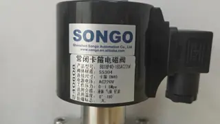 China SS304 Sanitary Solenoid Valve Two Way Tri Clamp Food Grade For Milk for sale