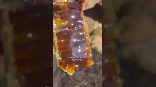 Watch: 100% Pure Natural Honey gives off an inviting luster in the sunlight