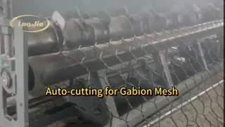 China Pvc Coated Hexagonal Woven Wire Mesh For Rockfall Protection for sale