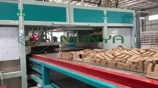 High-efficiency drying line/ Drying production line/ Drying pulp molded products